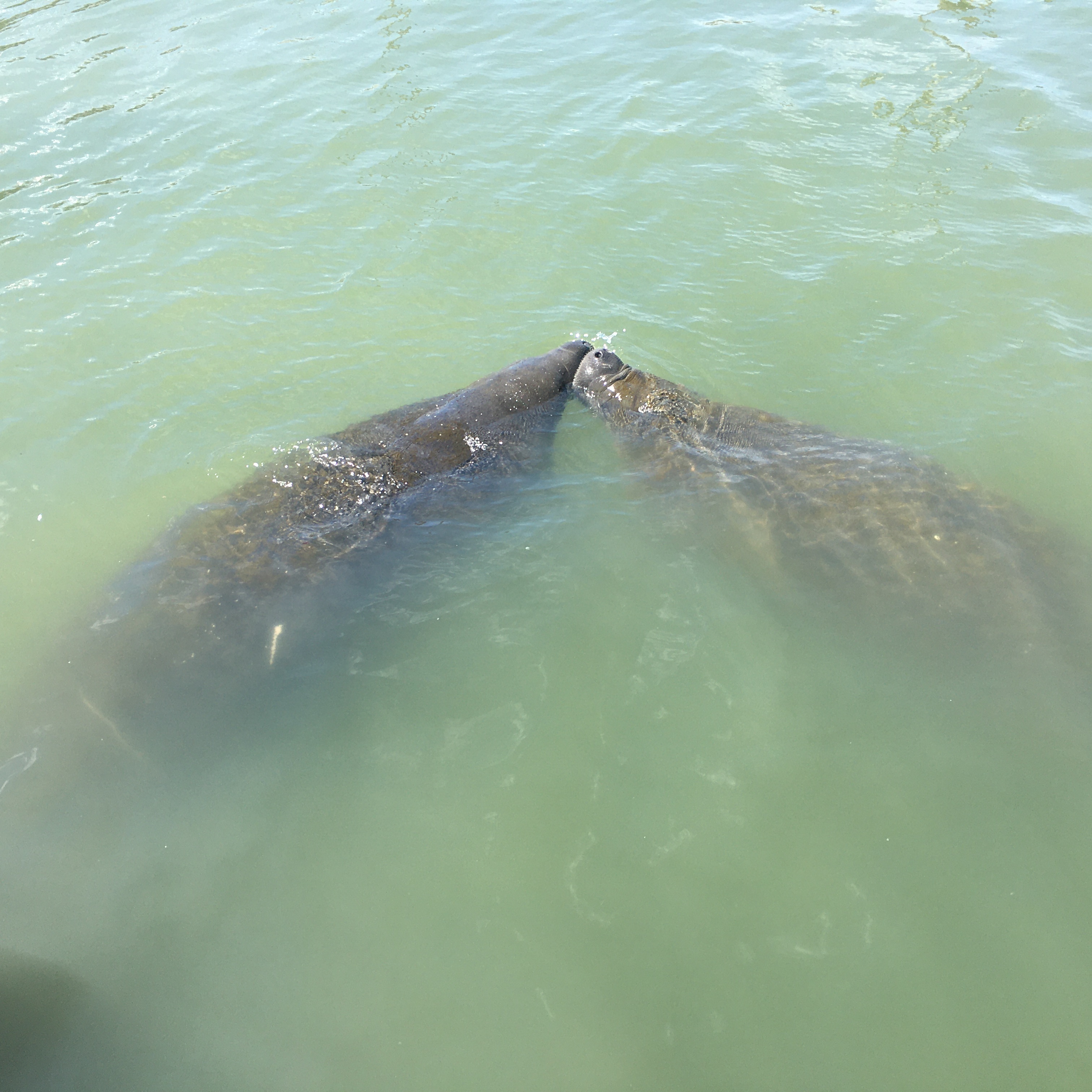 Stroll Magazine | Stroll Colleton River | Bluffton, SC