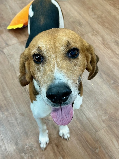 Garth, Lillith, and Timmy