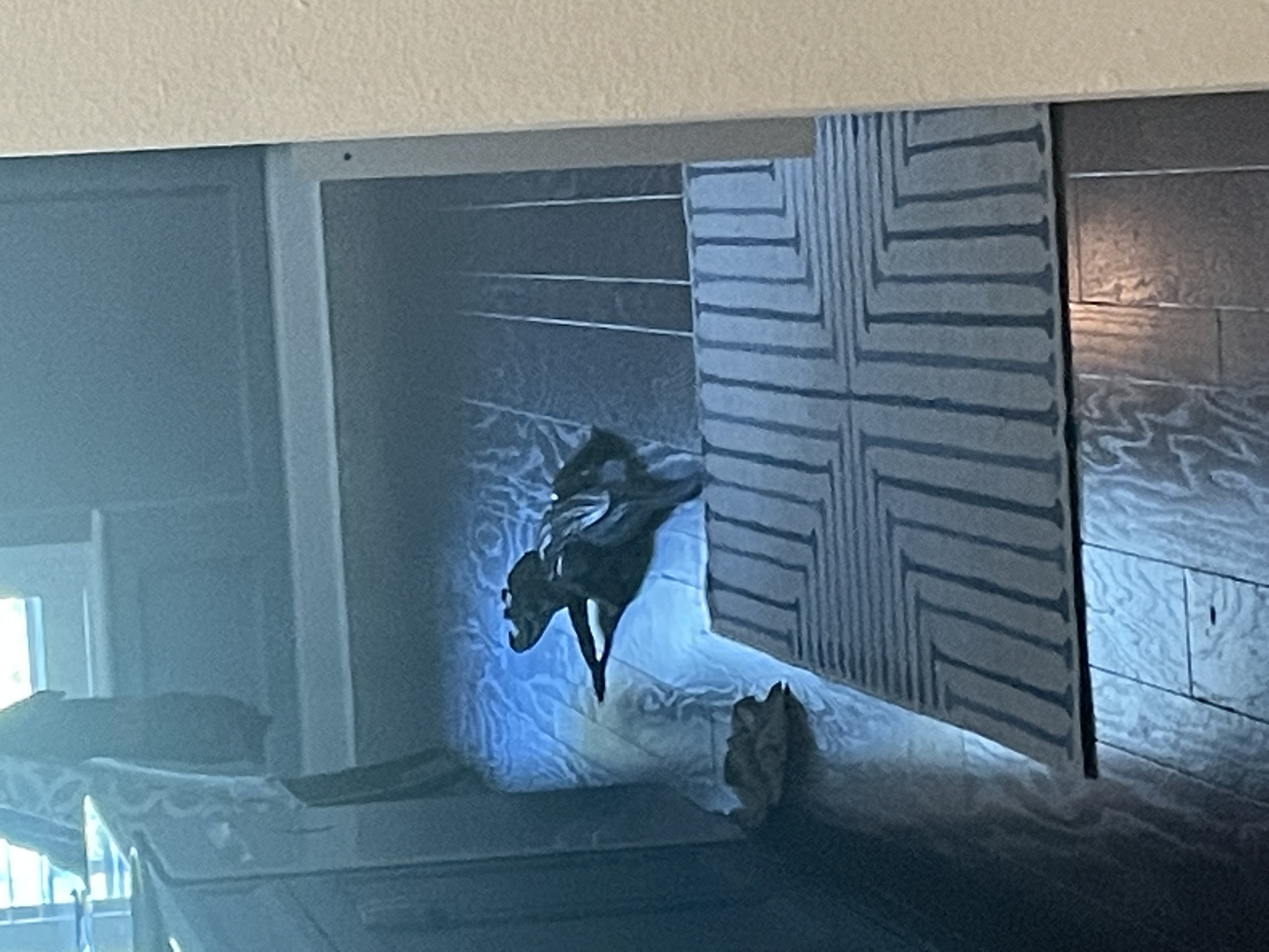 Stroll Magazine | Eaglebrooke | Lakeland, FL