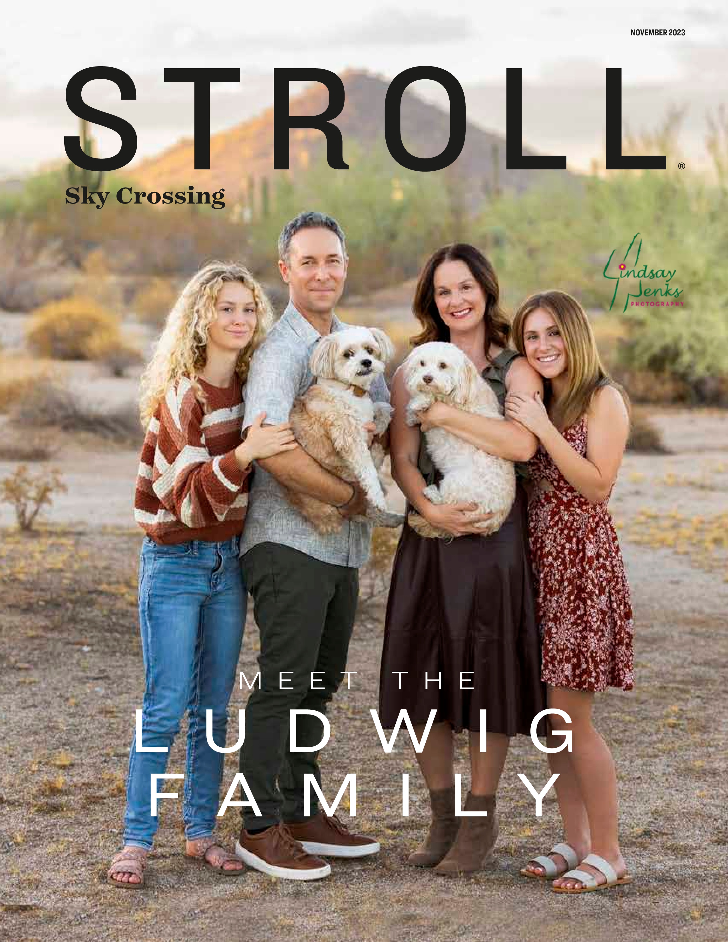 Stroll Magazine | Stroll Sky Crossing | Phoenix, AZ